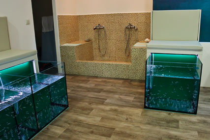 Fish Spa - Πώς εξασφαλίζεται η υγιεινή του συστήματος; | Aquarium Design